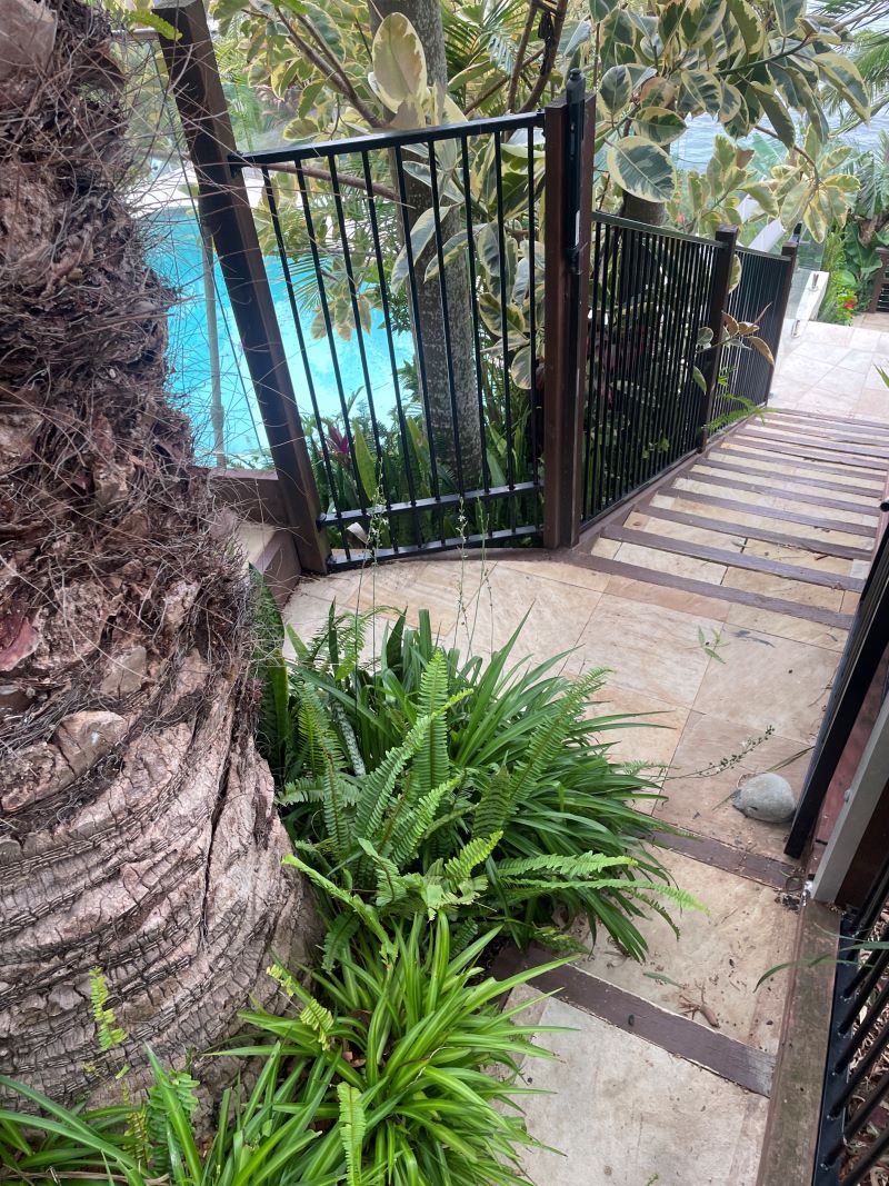 Tree Roots Blocking Your Pool Pipes? How to Fix It Without Digging ...